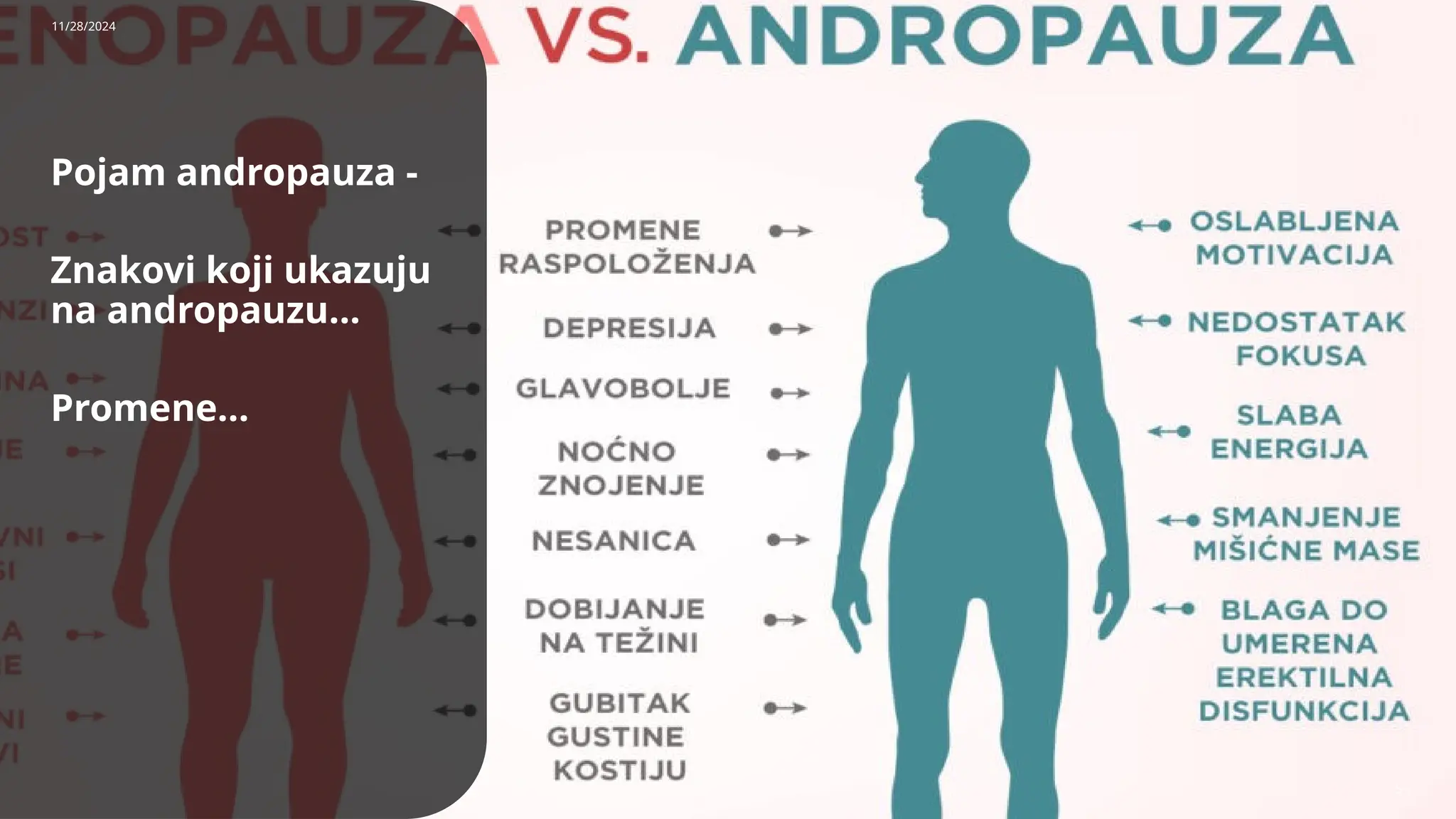 MUŠKE POLNE ŽLEZDE Reproduktivni sistem.pptx