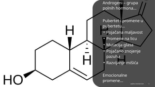 MUŠKE POLNE ŽLEZDE Reproduktivni sistem.pptx