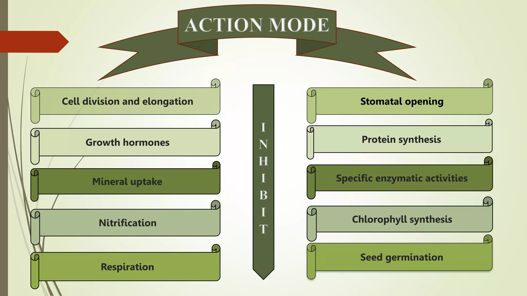 mukesh Allelopathy.pptx | Agriculture | Industries