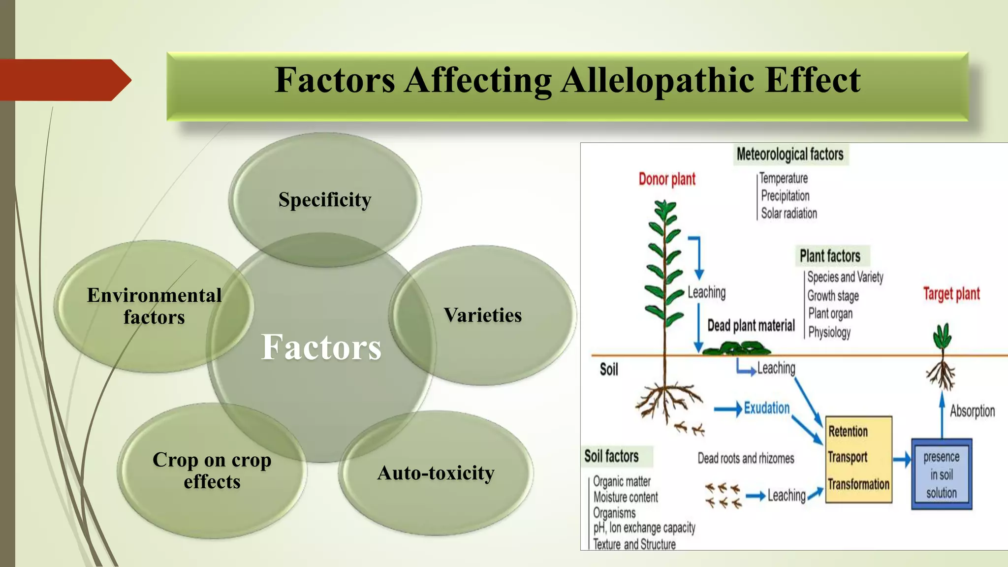 mukesh Allelopathy.pptx | Agriculture | Industries