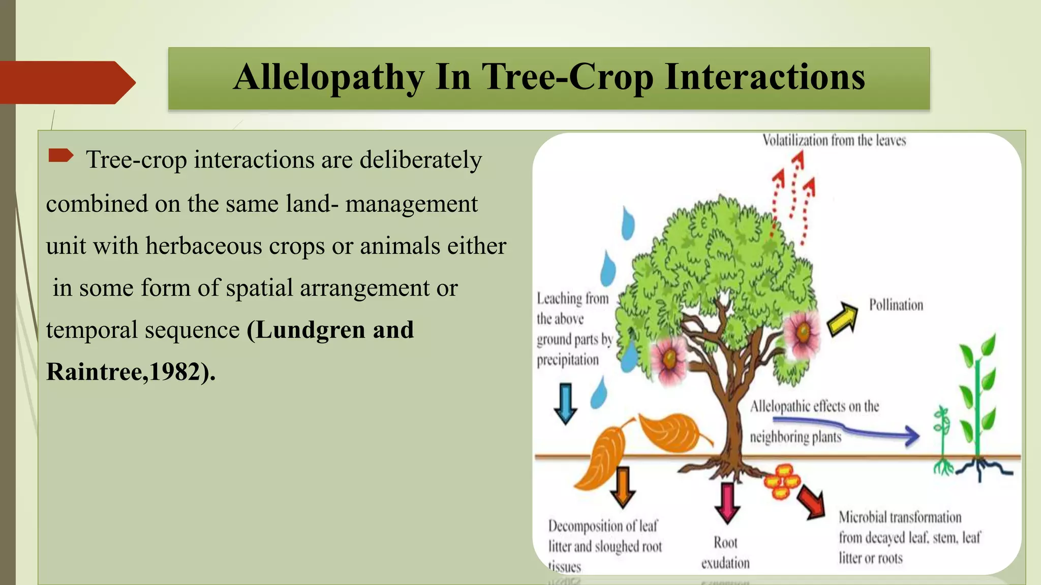 mukesh Allelopathy.pptx | Agriculture | Industries