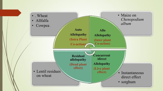 mukesh Allelopathy.pptx | Agriculture | Industries