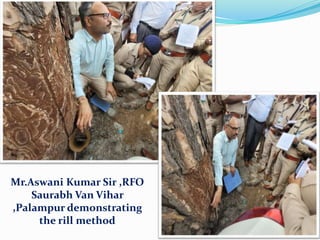 EXTRACTION OF RESIN AND LANATANA ERADICATION | PPTX