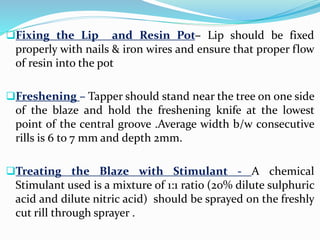 EXTRACTION OF RESIN AND LANATANA ERADICATION | PPTX