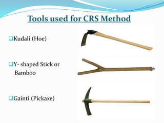 EXTRACTION OF RESIN AND LANATANA ERADICATION | PPTX