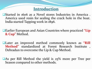 EXTRACTION OF RESIN AND LANATANA ERADICATION | PPTX