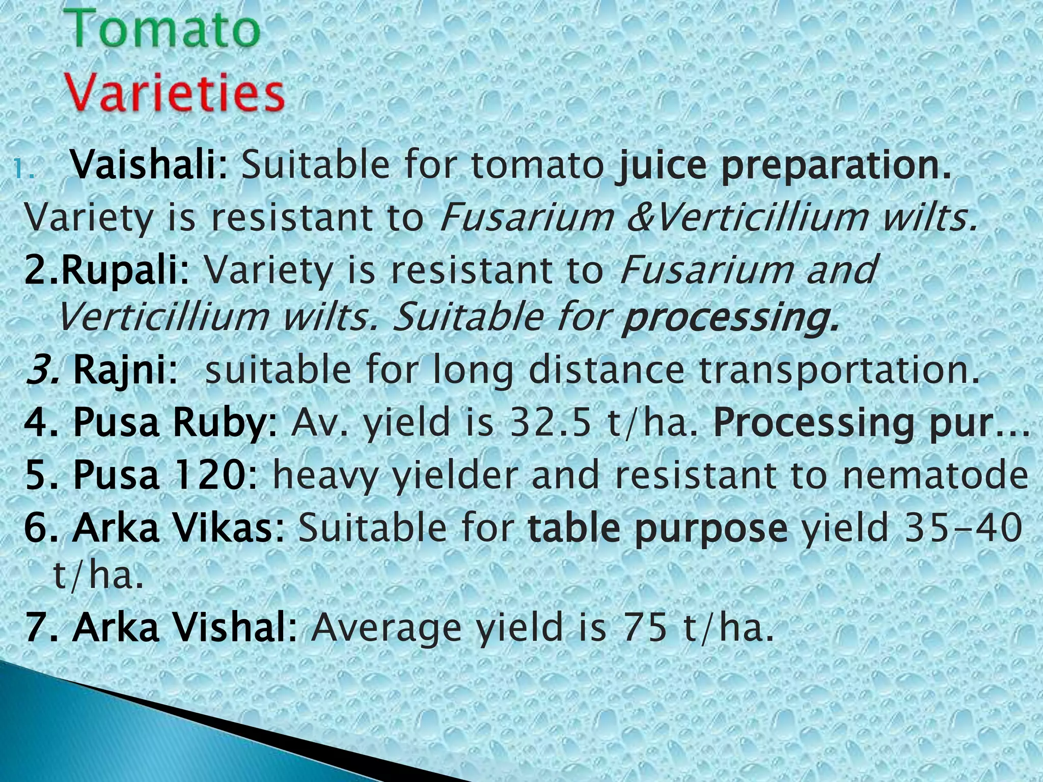 TOMATO CULTIVATION IN INDIA | PPTX