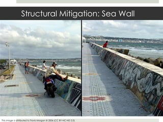 Emergency Management Planning: Hazard Mitigation | PPTX | Home ...