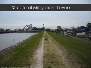 Emergency Management Planning: Hazard Mitigation | PPTX