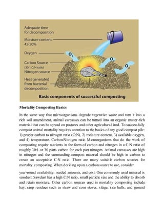 Mortality Composting- Akib Sumon | PDF