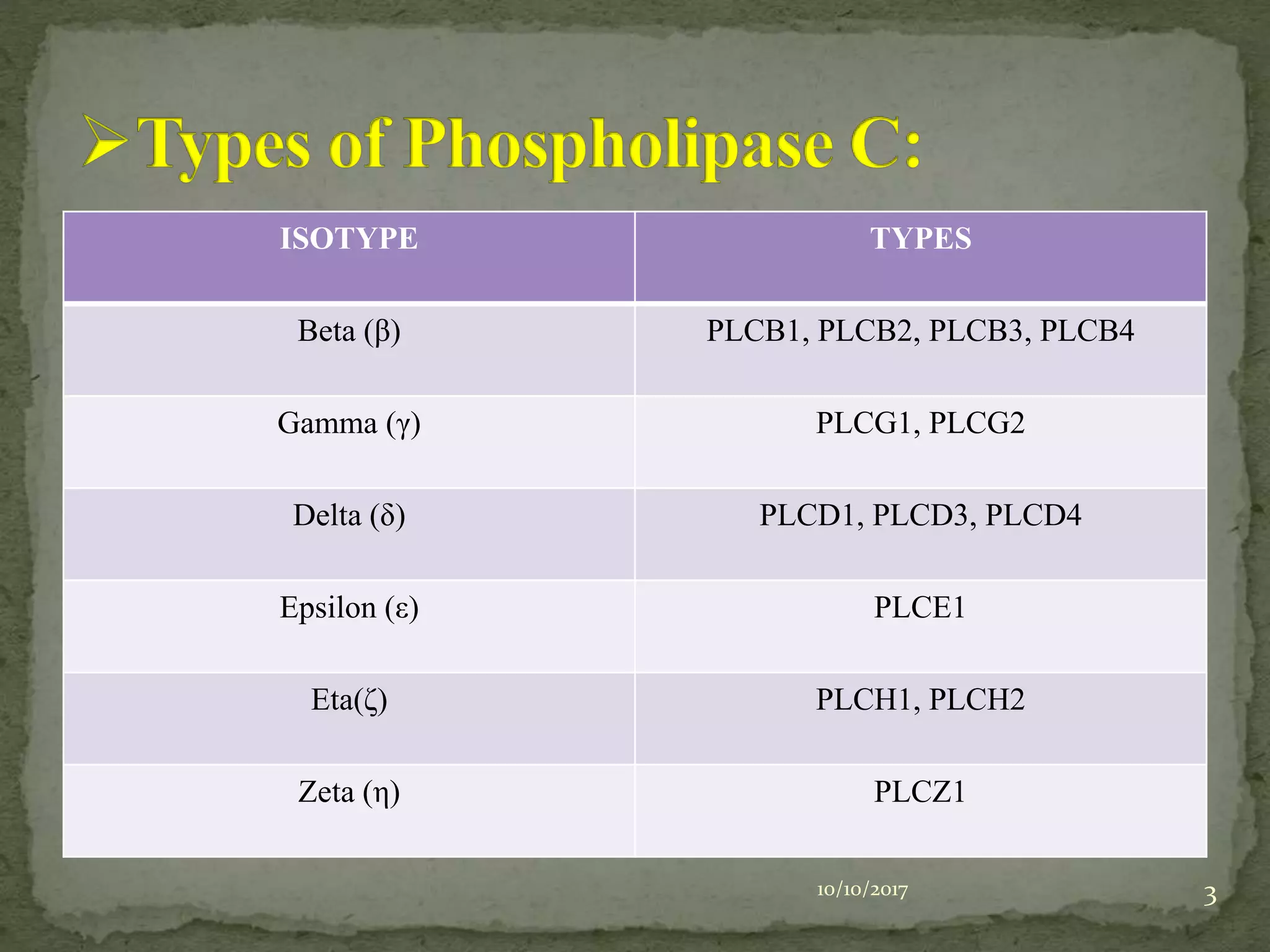 Phospholipase C IP3 DAG Pathway | PPTX