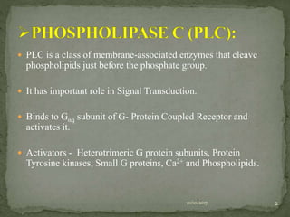 Phospholipase C IP3 DAG Pathway | PPTX | Chemistry | Science