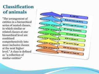 Classification of animals | PPTX