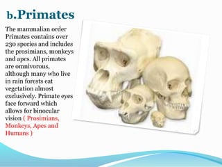 Classification of animals | PPTX