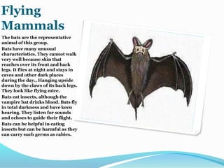 Classification of animals | PPTX