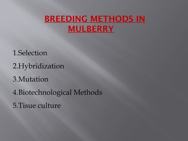 mulberryandraspberry-151209181531-lva1-app6892.pptx