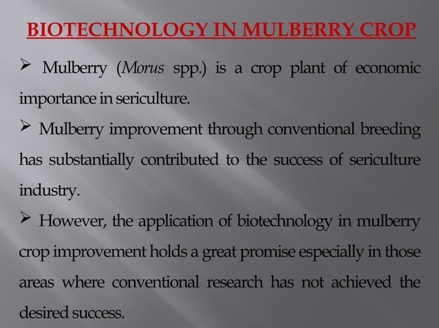 mulberryandraspberry-151209181531-lva1-app6892.pptx