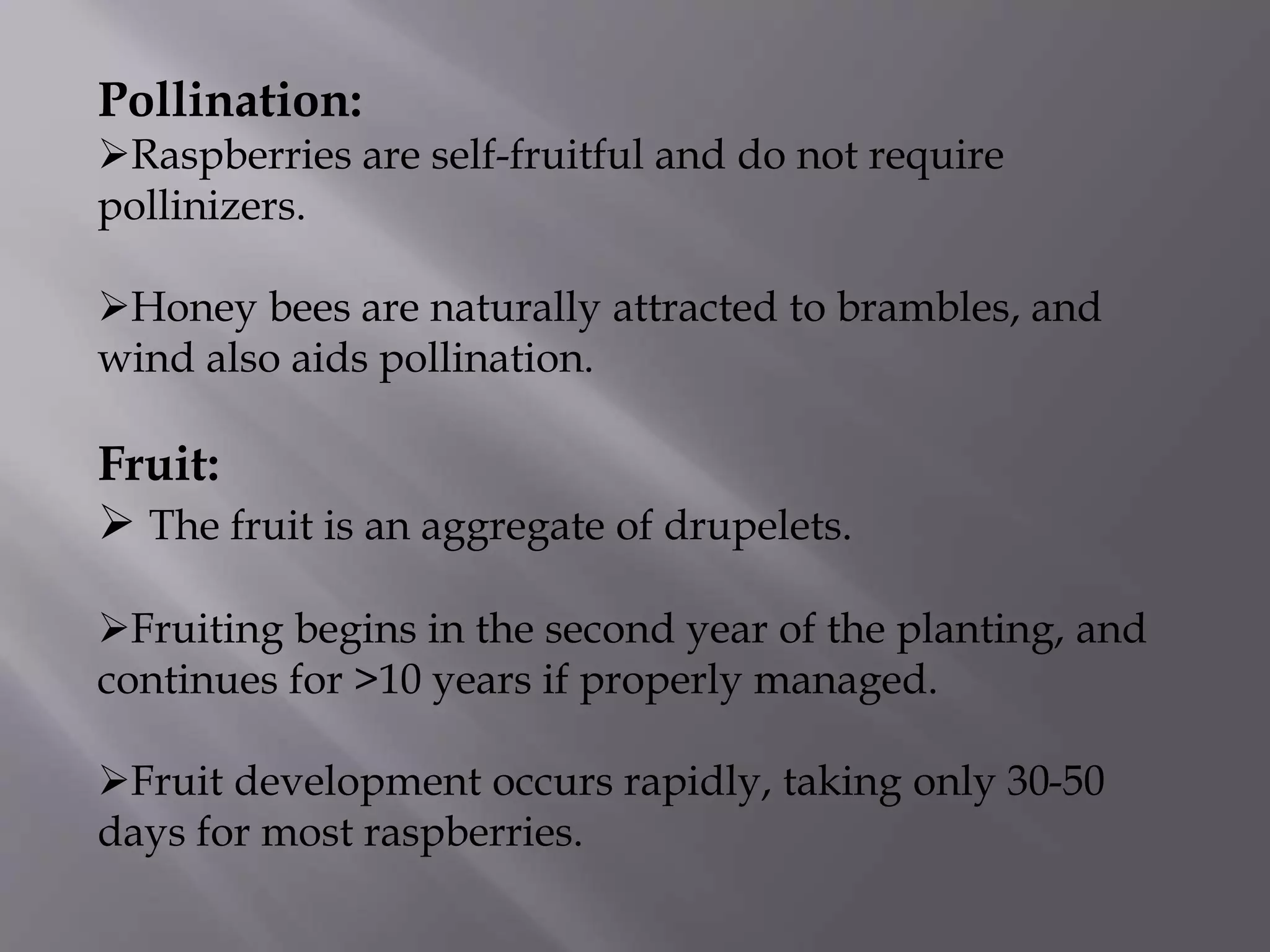 Mulberry and raspberry | PPTX