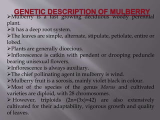 Mulberry and raspberry | PPTX