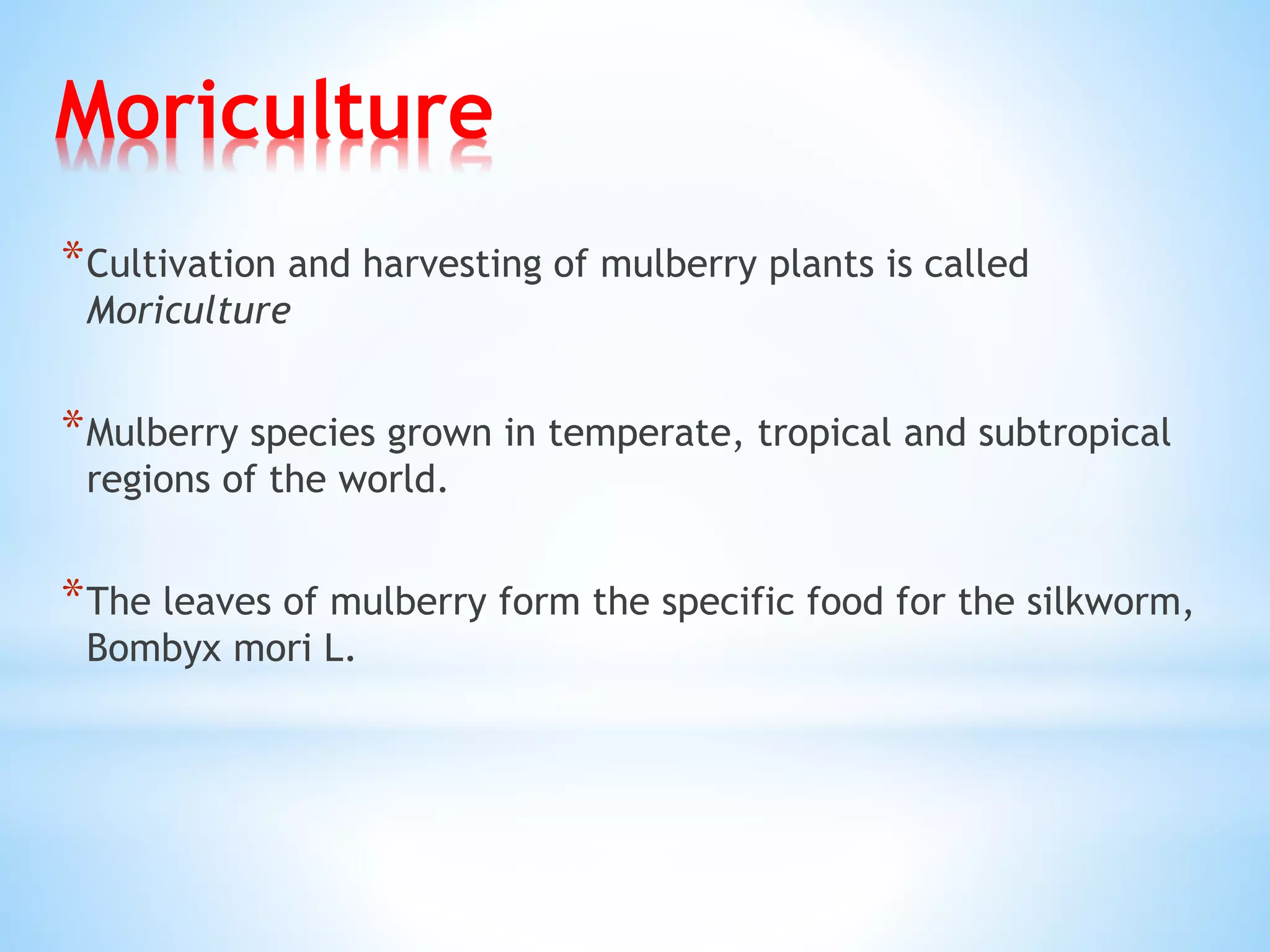 Mulberry cultivation | PPTX