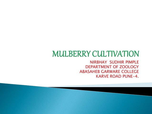 Mulberry cultivation | PPT