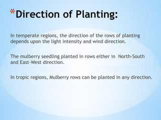 M ethods of mulberry cultivation-PPT-2.pptx