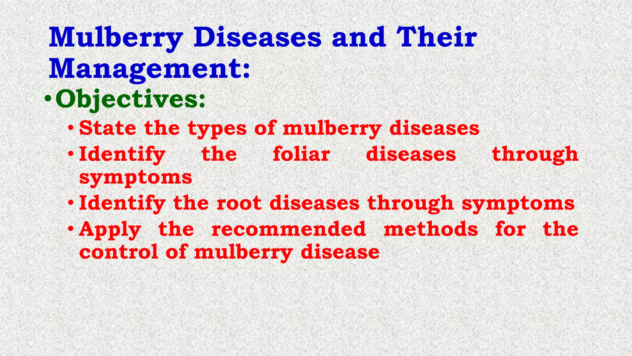 mulberry diseases.pptx