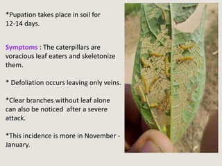 Mulberry pests & diseases, crop protection.pptx