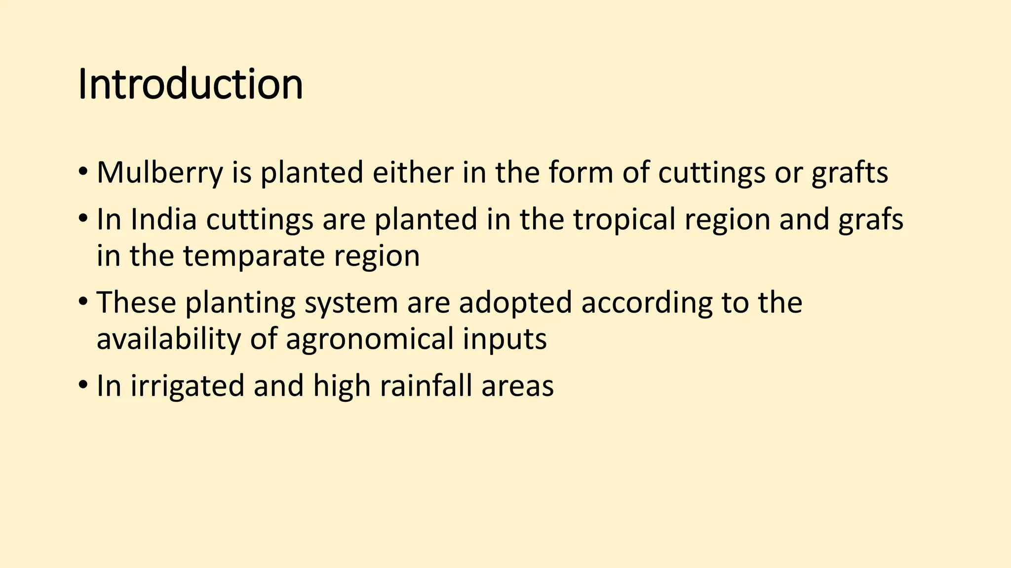 Mulberry planting system - About plant.pptx