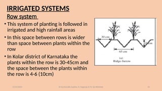 Mulberry planting systems - Types & Uses.pptx