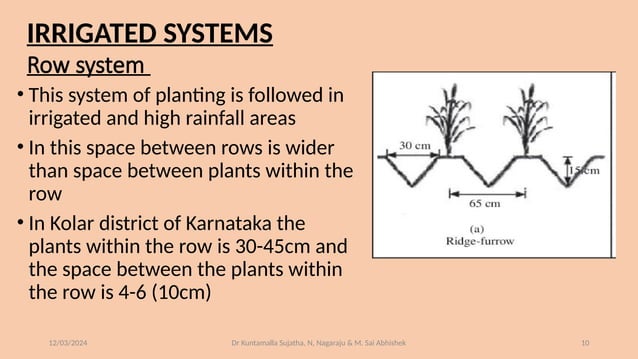 Mulberry planting systems - Types & Uses.pptx
