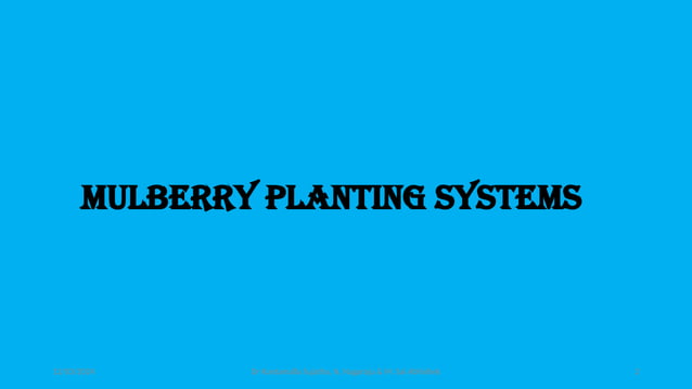 Mulberry planting systems - Types & Uses.pptx