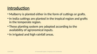 Mulberry planting systems - Types & Uses.pptx