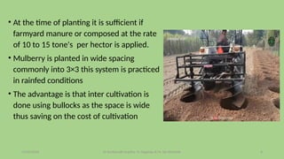 Mulberry planting systems - Types & Uses.pptx