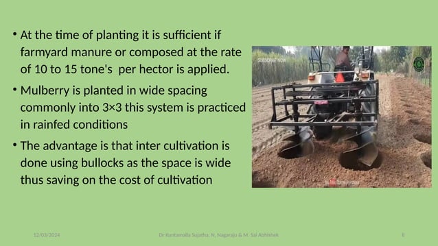 Mulberry planting systems - Types & Uses.pptx