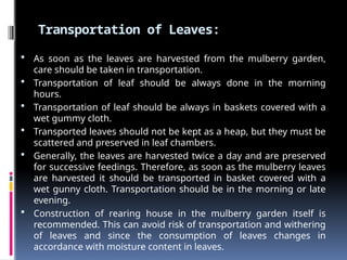 Mulberry pruning and training methods by Dr Satyanarayana | PPTX
