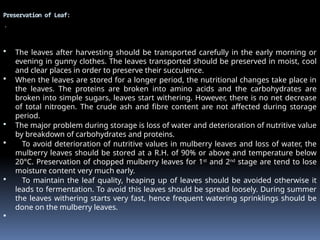 Mulberry pruning and training methods by Dr Satyanarayana | PPTX