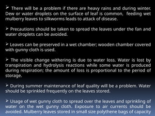 Mulberry pruning and training methods by Dr Satyanarayana | PPTX