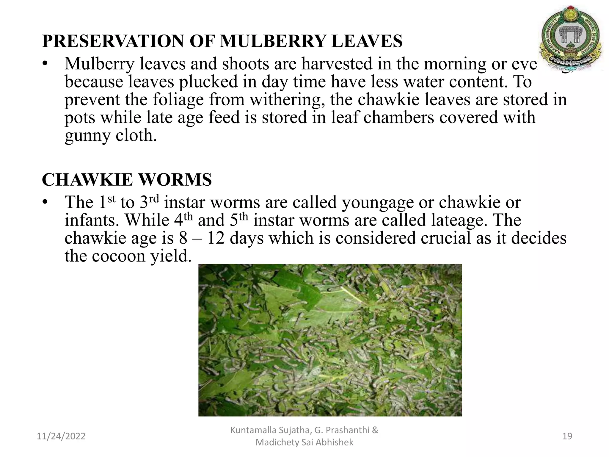 Mulberry silkworm rearing techniques.pptx