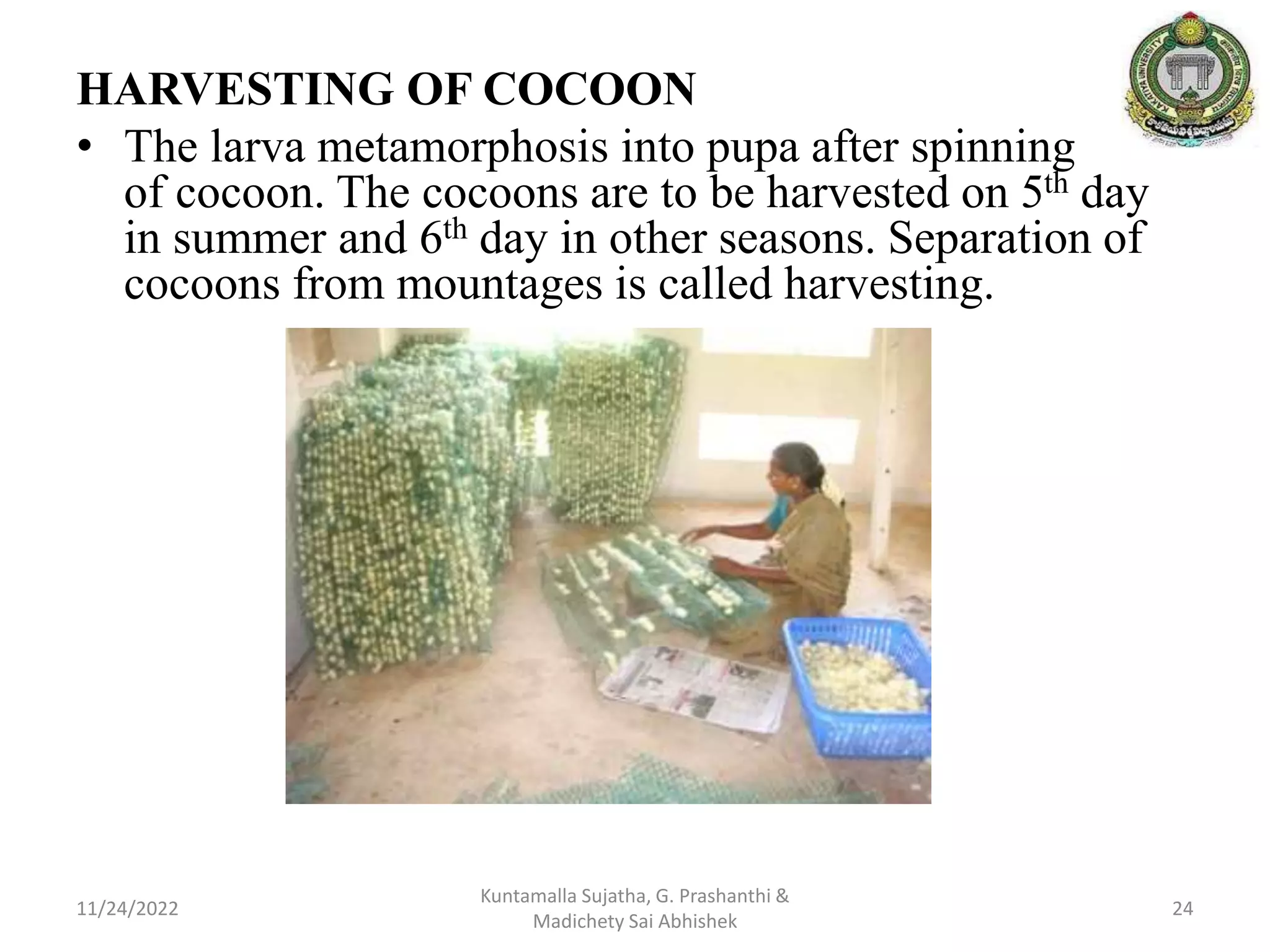 Mulberry silkworm rearing techniques.pptx