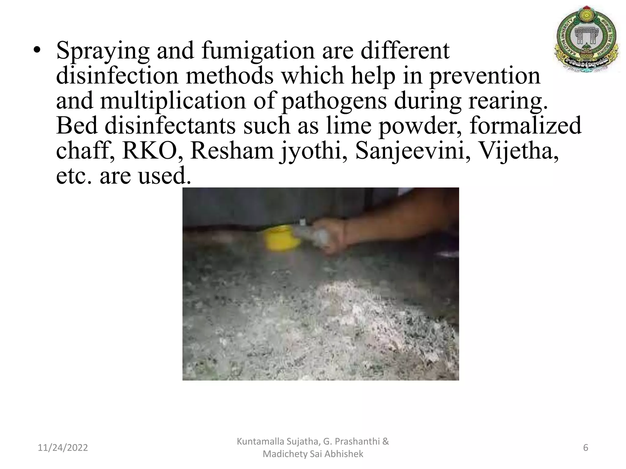 Mulberry silkworm rearing techniques.pptx