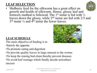 Mulberry silkworm rearing techniques.pptx