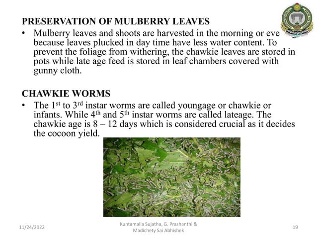 Mulberry silkworm rearing techniques.pptx | Asia Travel | Travel Locations