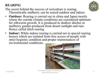 Mulberry silkworm rearing techniques.pptx