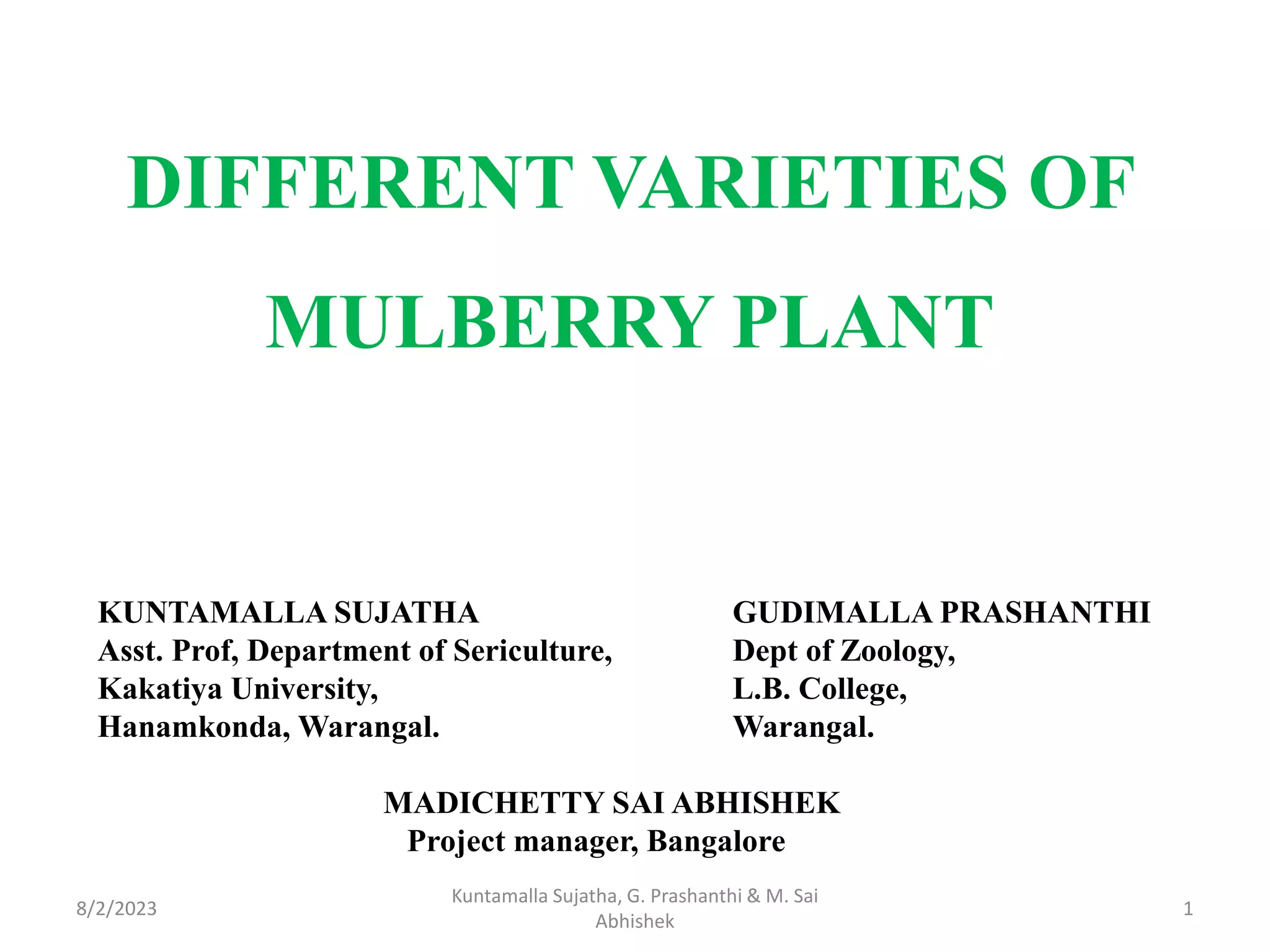 Mulberry Variety.pptx