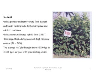Mulberry Variety.pptx