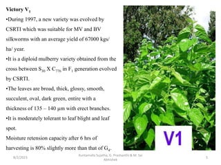 Mulberry Variety.pptx