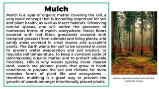 Mulch | PPT