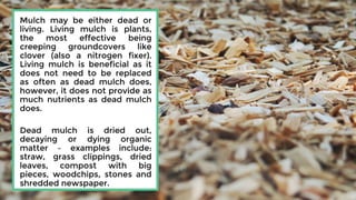 Mulch | PPTX