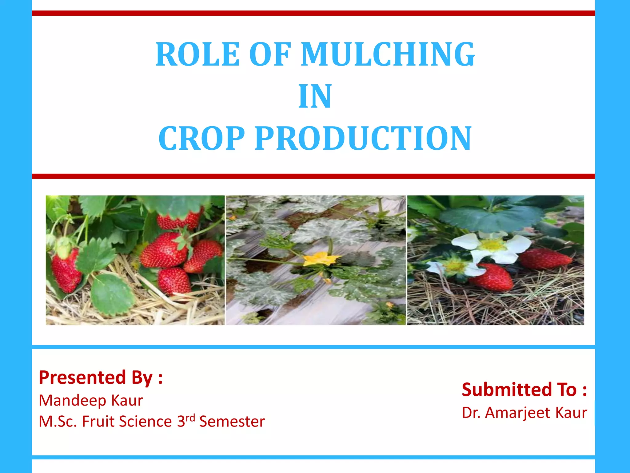 Mulching | PDF
